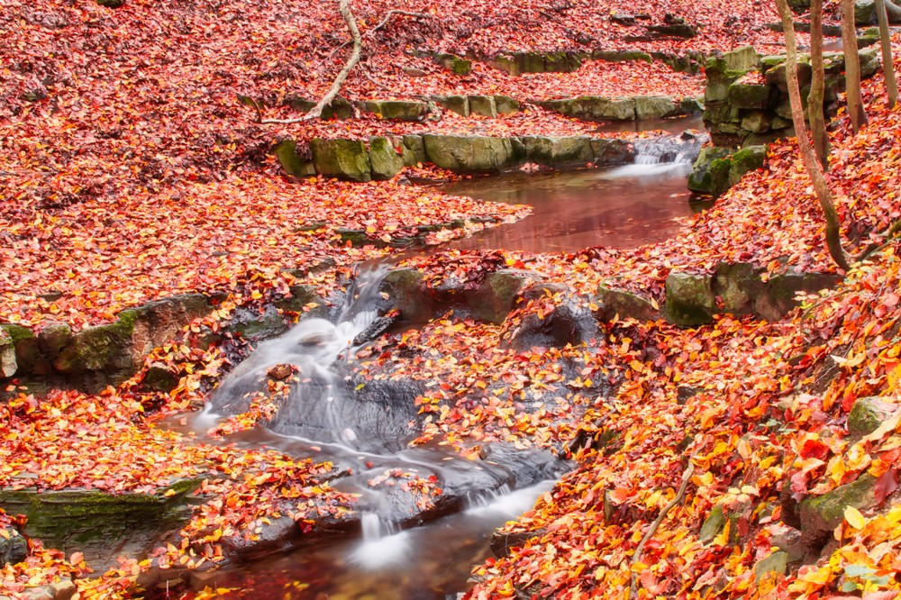 Ferde-vízesés, Csepegő-szikla- kirándulás Magyarország legromantikusabb ...