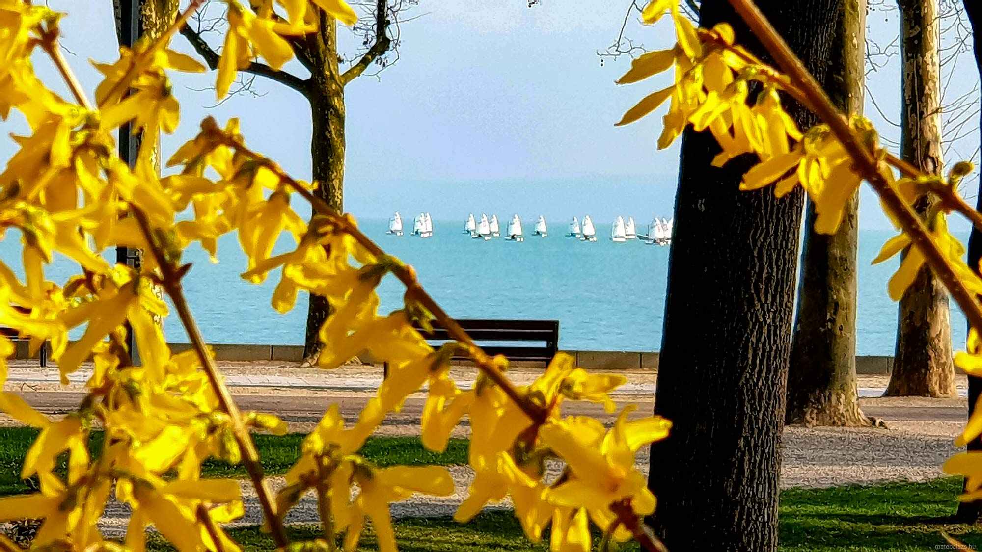 Tagore sétány, Balatonfüred 8. kép